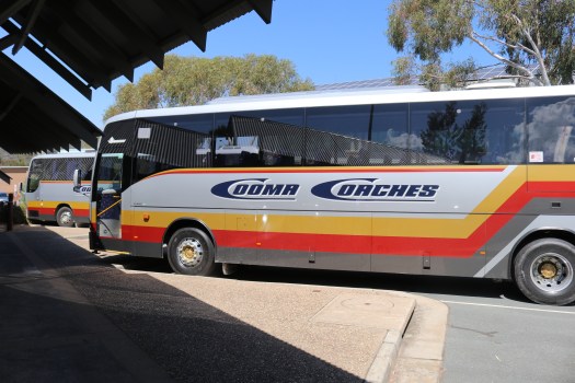 Snowy Mountains Bus Trial – Transport NSW Blog